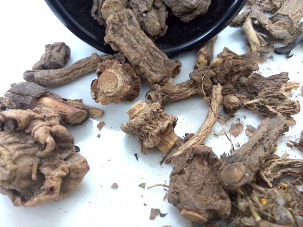 Pure Sarsaparilla Root Anantmul Hemidesmus Indicus Ornata - Etsy Ireland