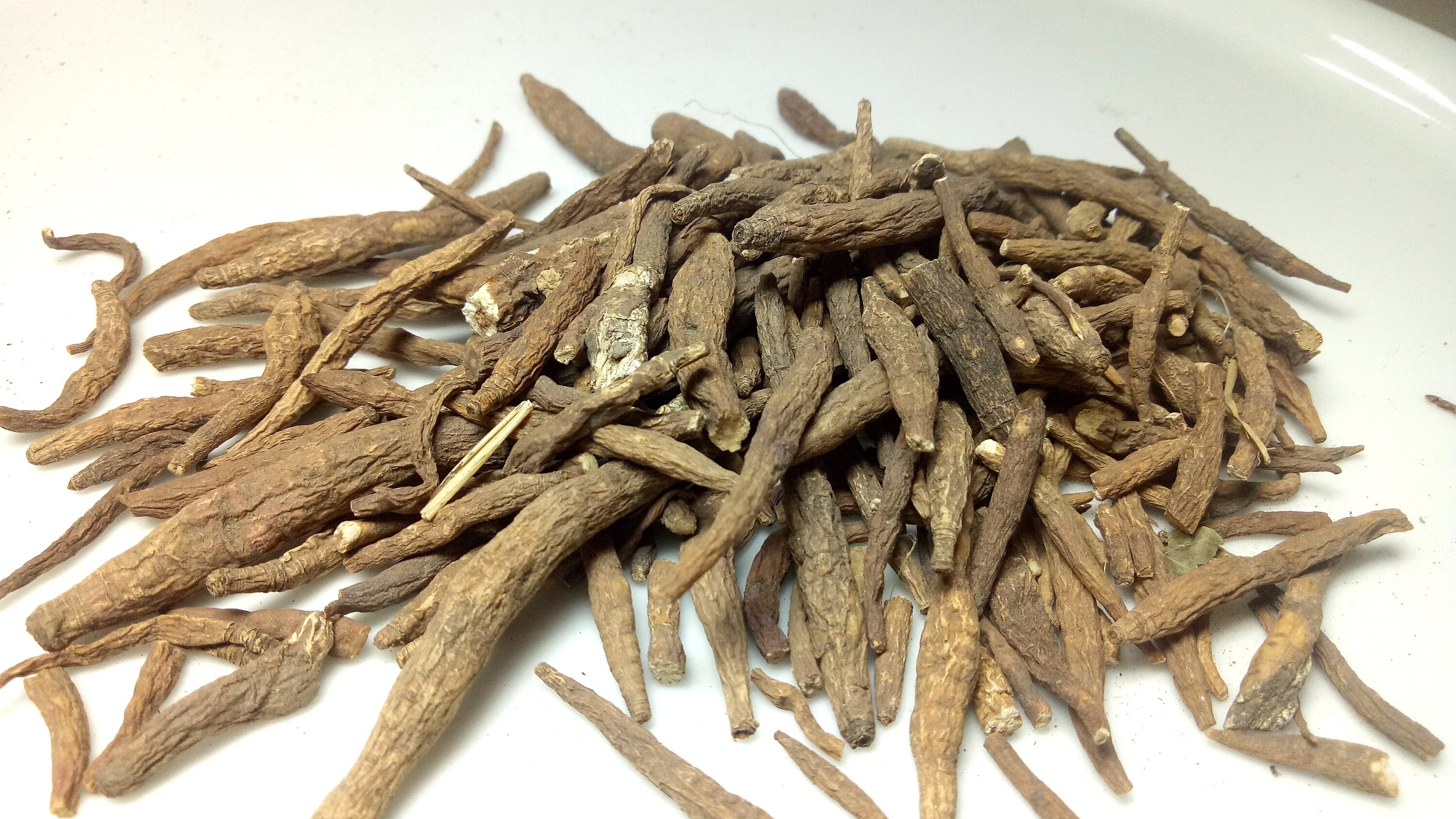 Ateesh Root, Aconitum Heterophyllum From Sanaa Zesty,ativisha - Etsy UK