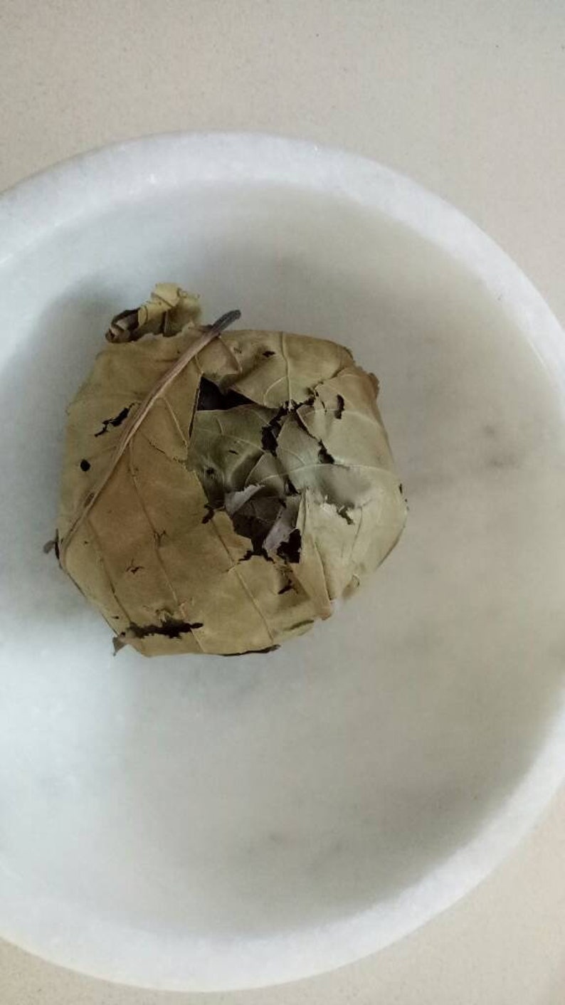 Rasaut Raswanti Gum Berberis Aristata Root Gum - Etsy