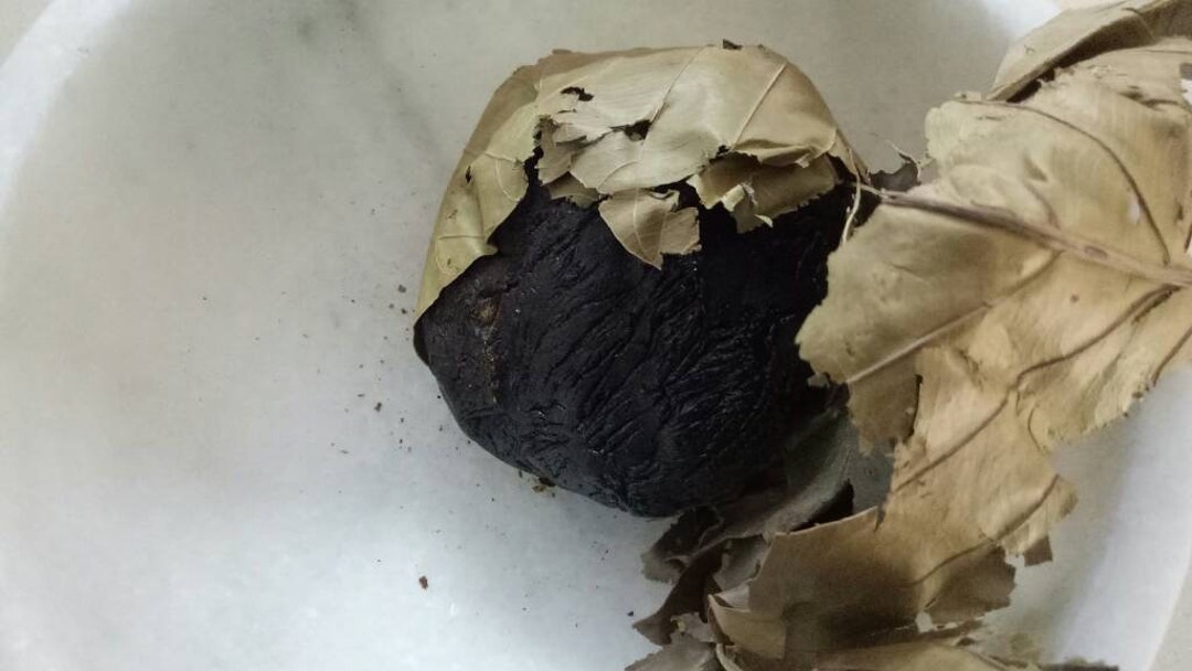 Rasaut Raswanti Gum Berberis Aristata Root Gum - Etsy