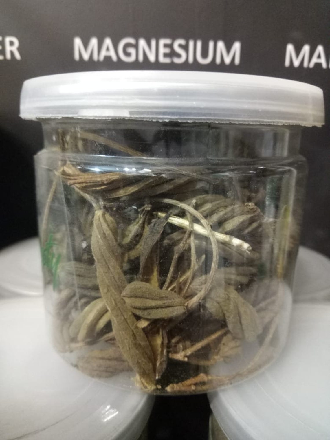 Marod Phali Maror Phali Helicteres Isora Maror Phal - Etsy