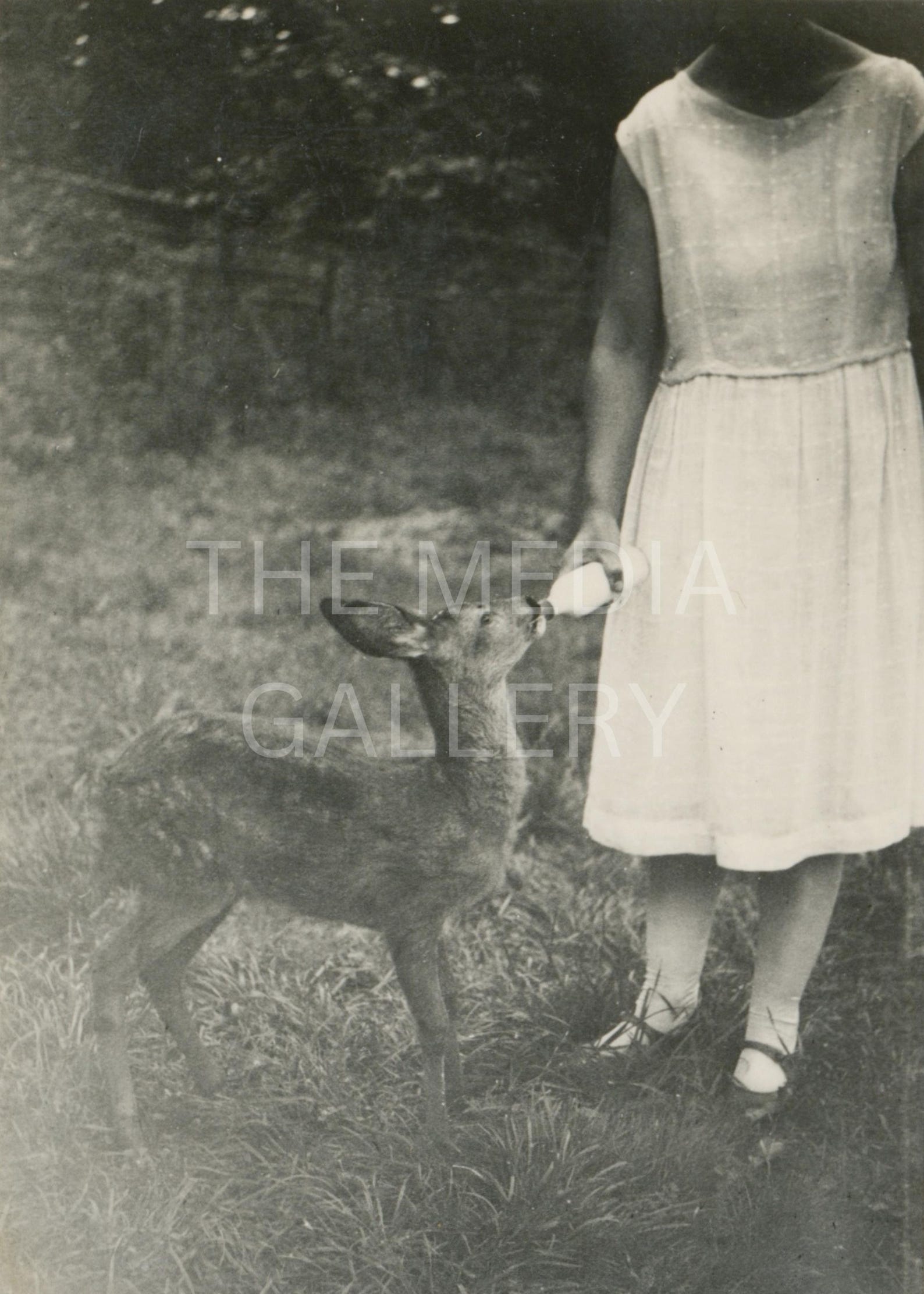 Girl Feeding Fawn Photo Print - Creepy, Cool, Scary Photo - Vintage Old ...