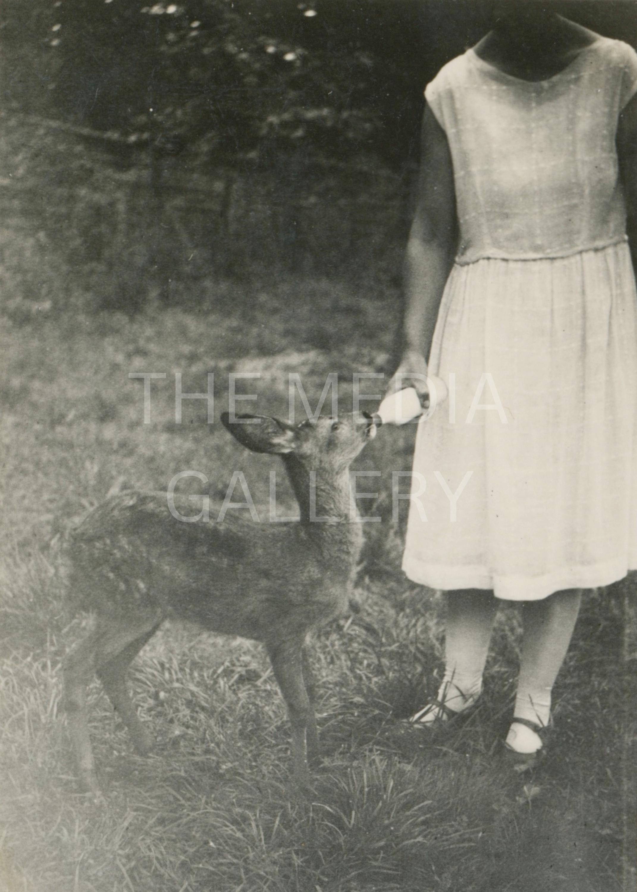 Girl Feeding Fawn Photo Print - Creepy, Cool, Scary Photo - Vintage Old ...