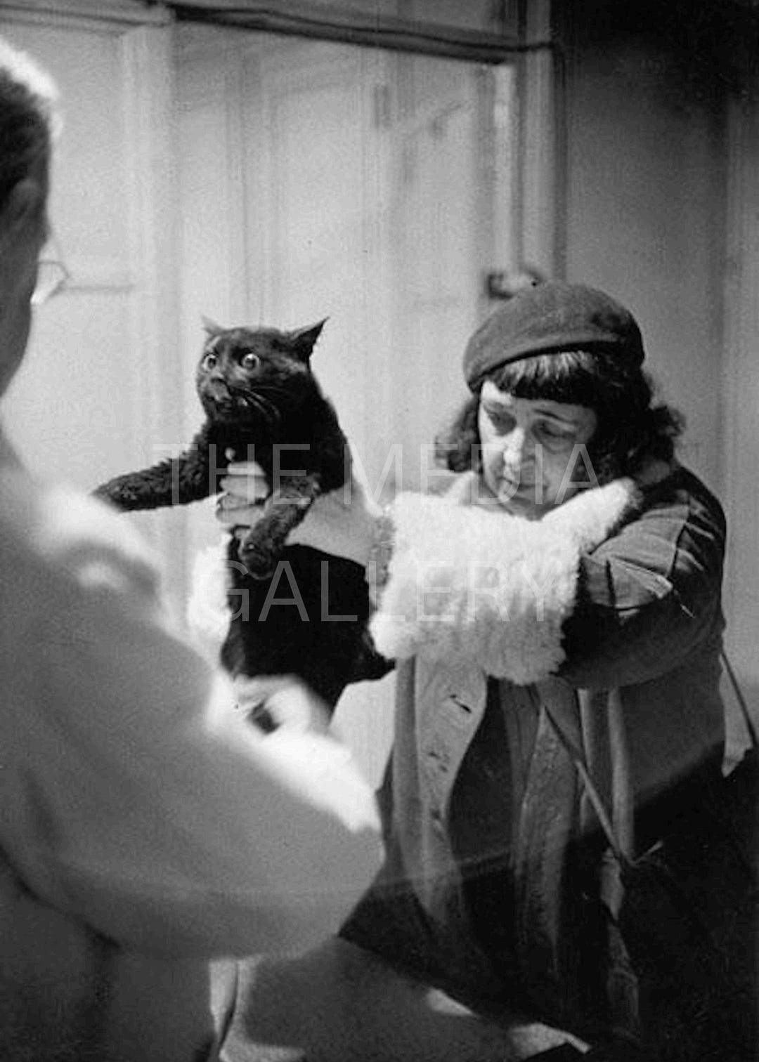 Woman Handing Over Cat, Marc Riboud Photo Print Cat Art Photo Print Cat ...