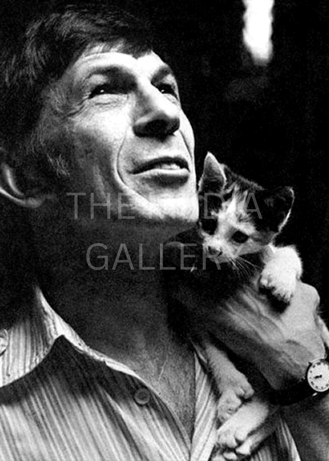 Leonard Nimoy & Cat Photo Print Spock Photo Star Trek Photo Cat Art ...