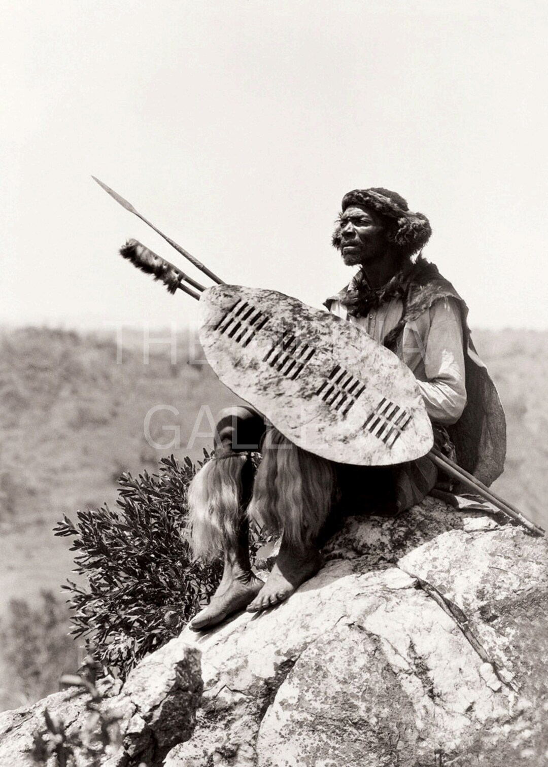 Tsonga Warrior Photo Print African Art Decor Vintage Old Photo African ...