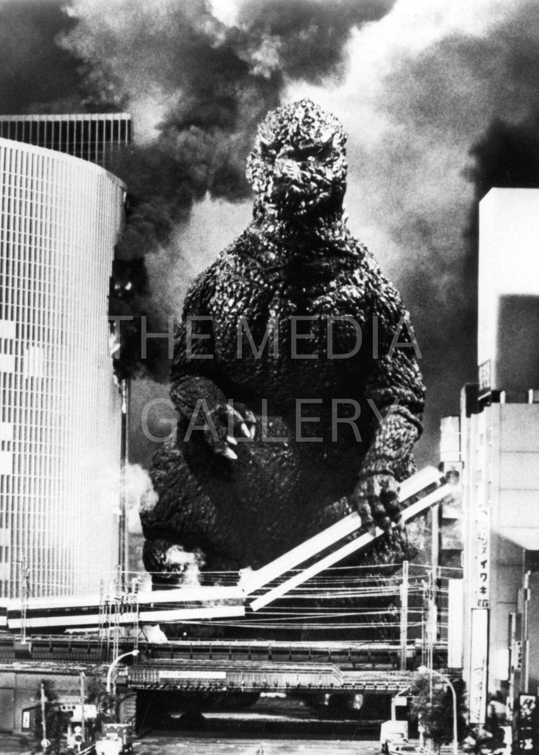 Godzilla & Train Photo Print Godzilla Art Photo Monster Movie Art ...