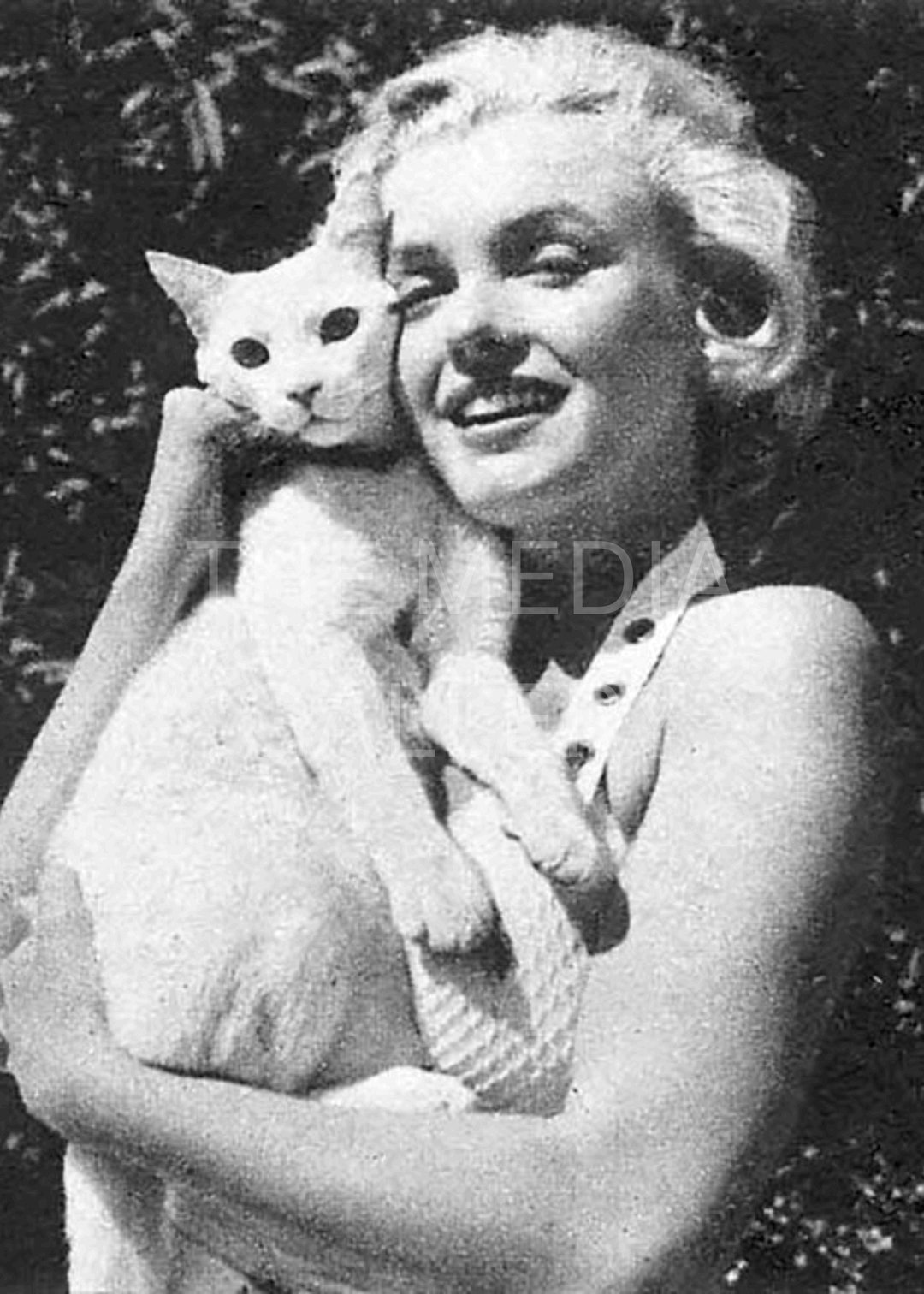 Marilyn Monroe & Cat 5 X 7 Photo Print Marilyn Monroe Photo Cat Photo ...