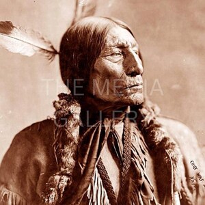 Wolf Robe, Cheyenne Chief 5 X 7 Photo Print Indian Chief Native ...