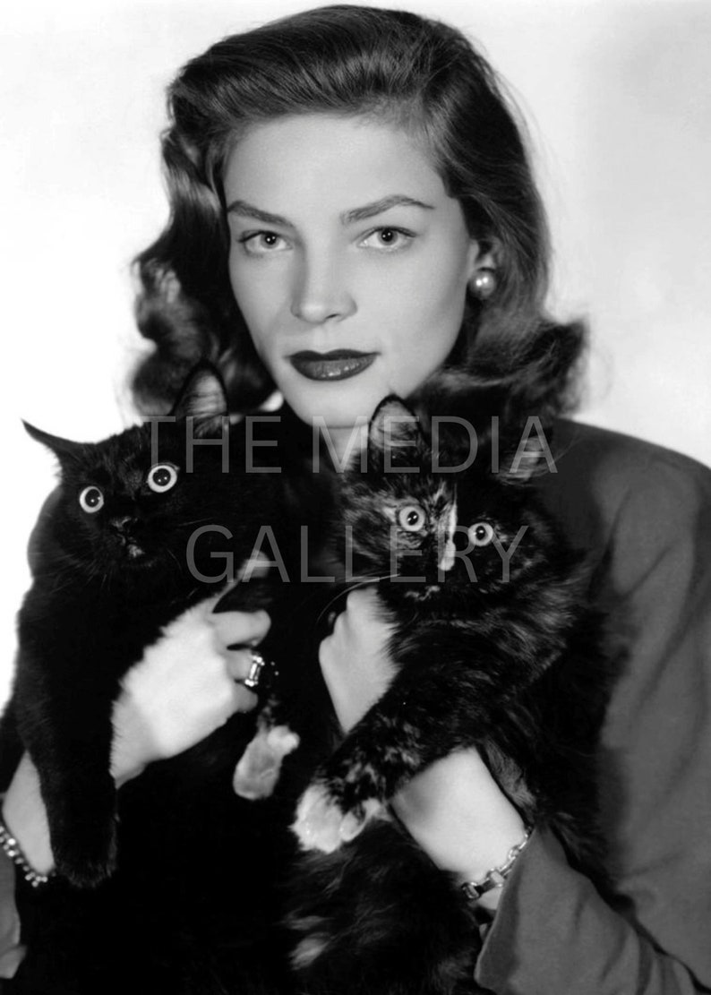 Lauren Bacall With Cats Photo Print Classic Hollywood Beauty Cat Art ...