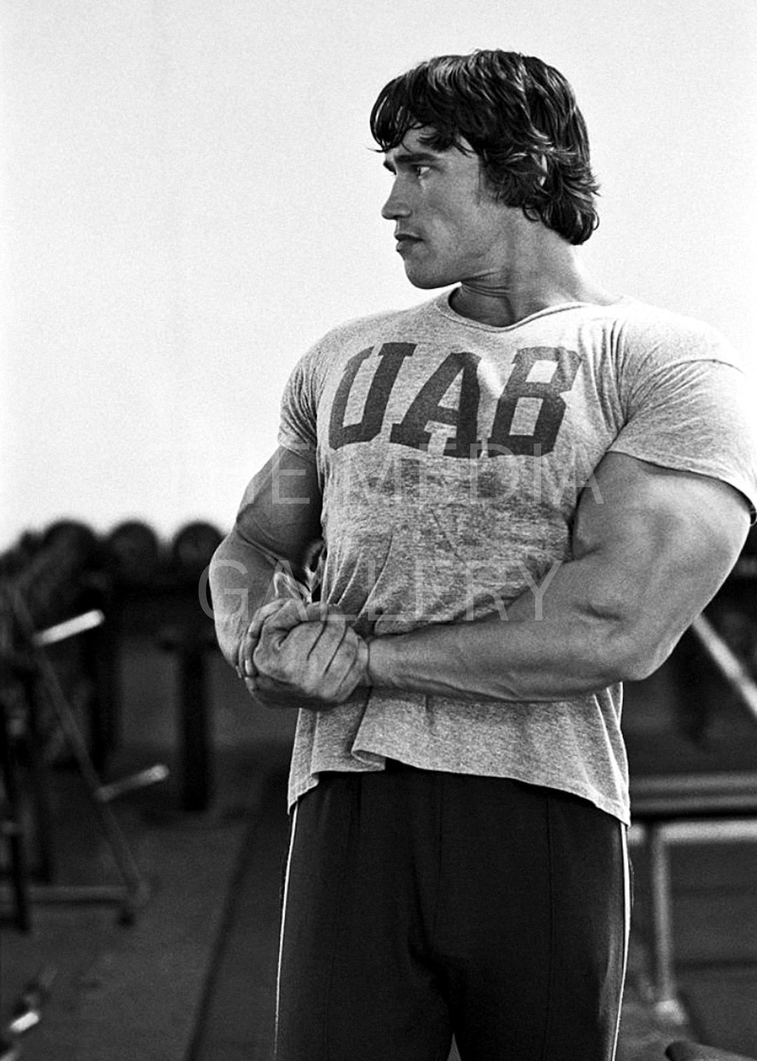 Arnold Schwarzenegger Flexing Photo Print Vintage Bodybuilding ...