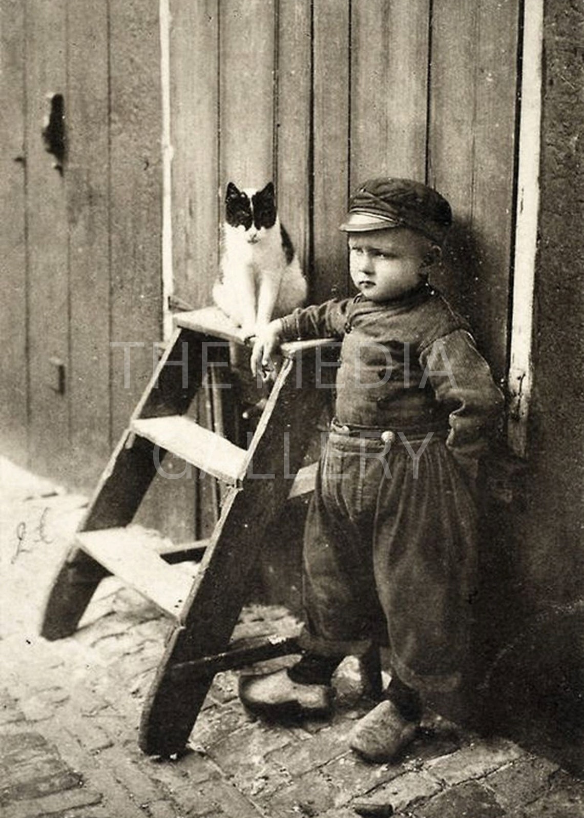 Dutch Boy & Cat 5 X 7 Photo Print Cute Cool Photo Old Cat Photo Vintage ...