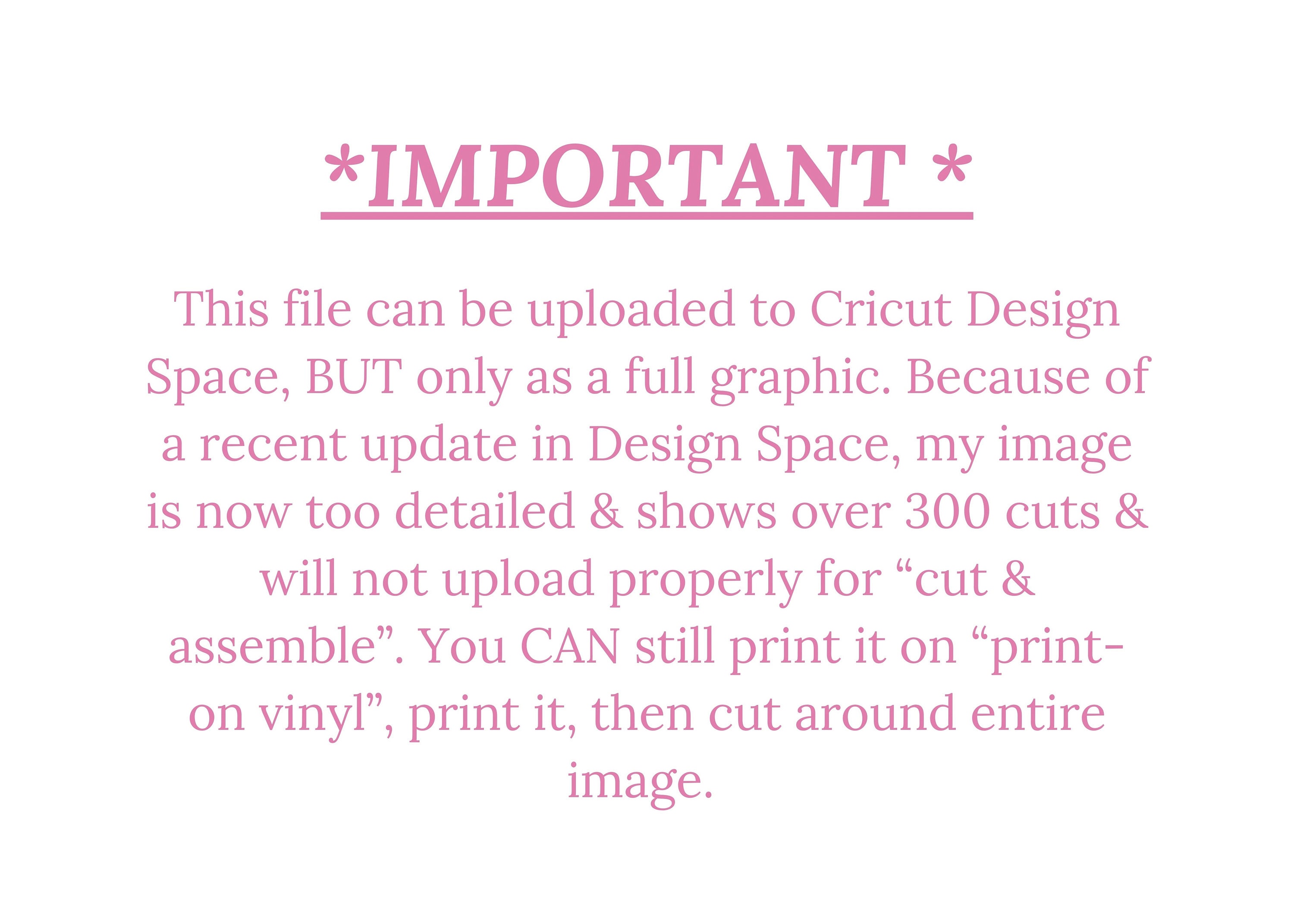 Ms. Rachel Graphic| JPG | PNG | PDF Instant Digital Download | Full ...