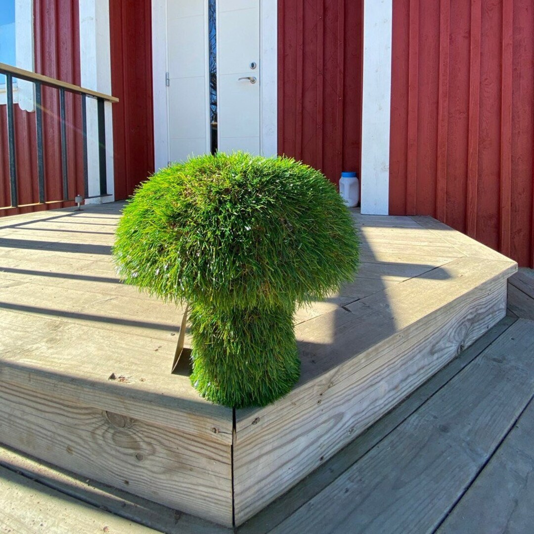 Mushroom, Height: 30 Cm. Little Garden Mushroom. Topiary Artificial ...