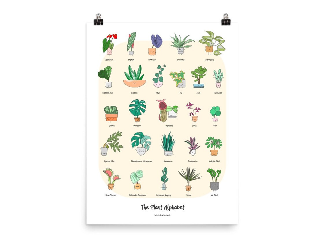 The Plant Alphabet Poster, Nursery Decor, ABC Poster, Children's Room ...