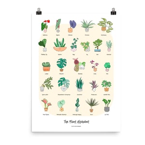 The Plant Alphabet Poster, Nursery Decor, ABC Poster, Children's Room ...