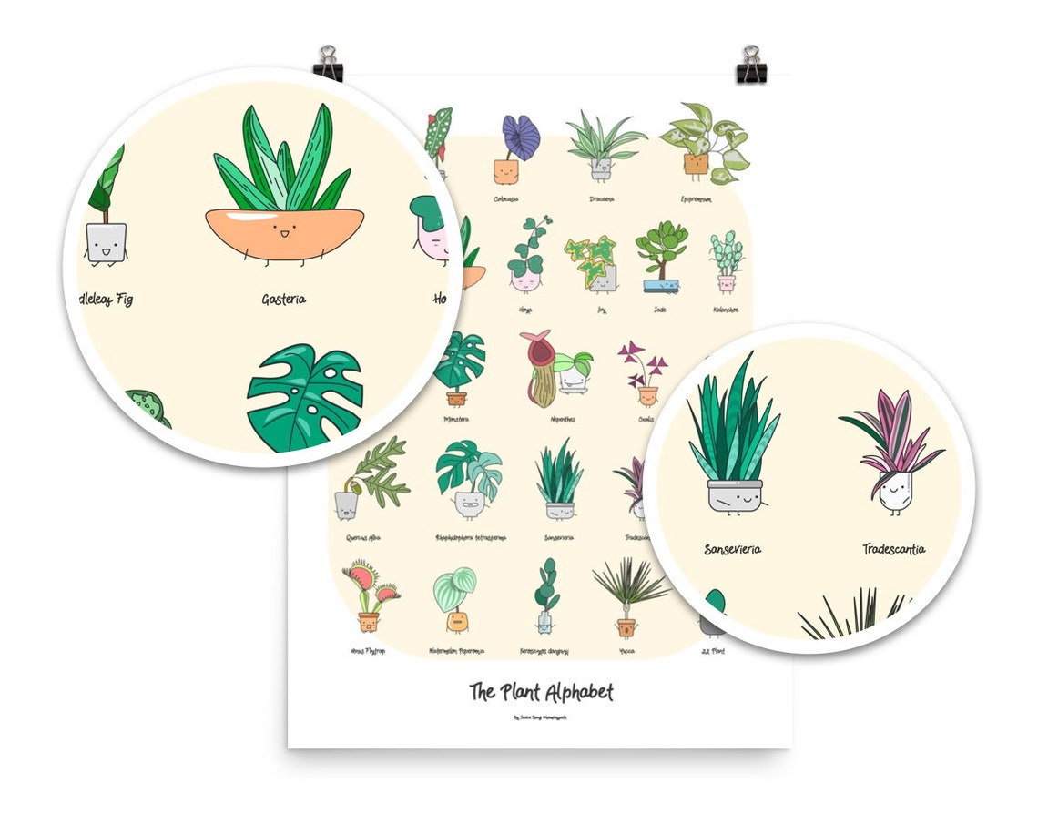 The Plant Alphabet Poster Nursery Decor ABC Poster - Etsy