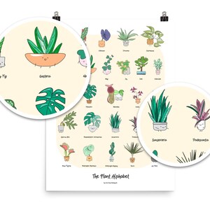 The Plant Alphabet Poster, Nursery Decor, ABC Poster, Children's Room ...