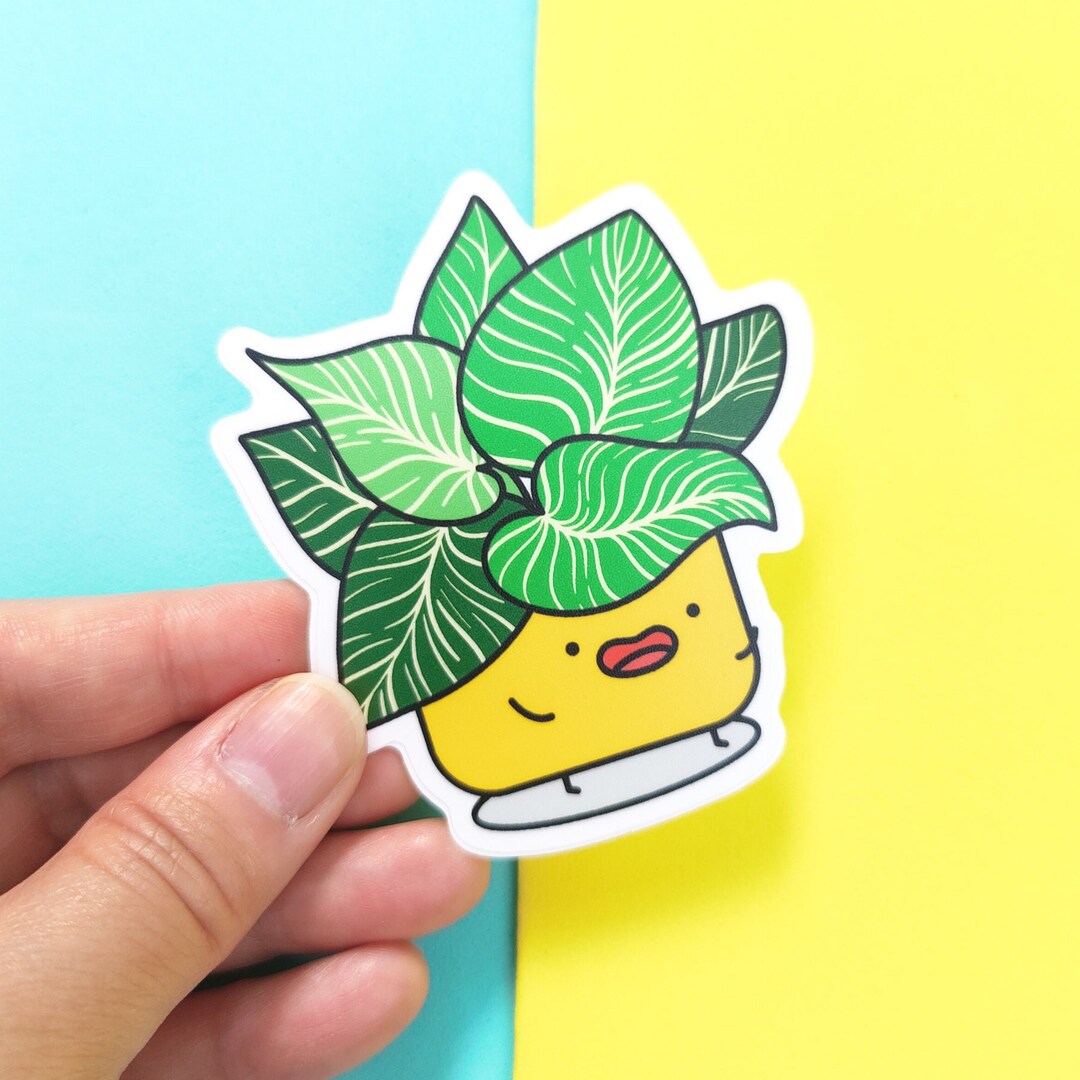 Philodendron Birkin Vinyl Sticker - Etsy