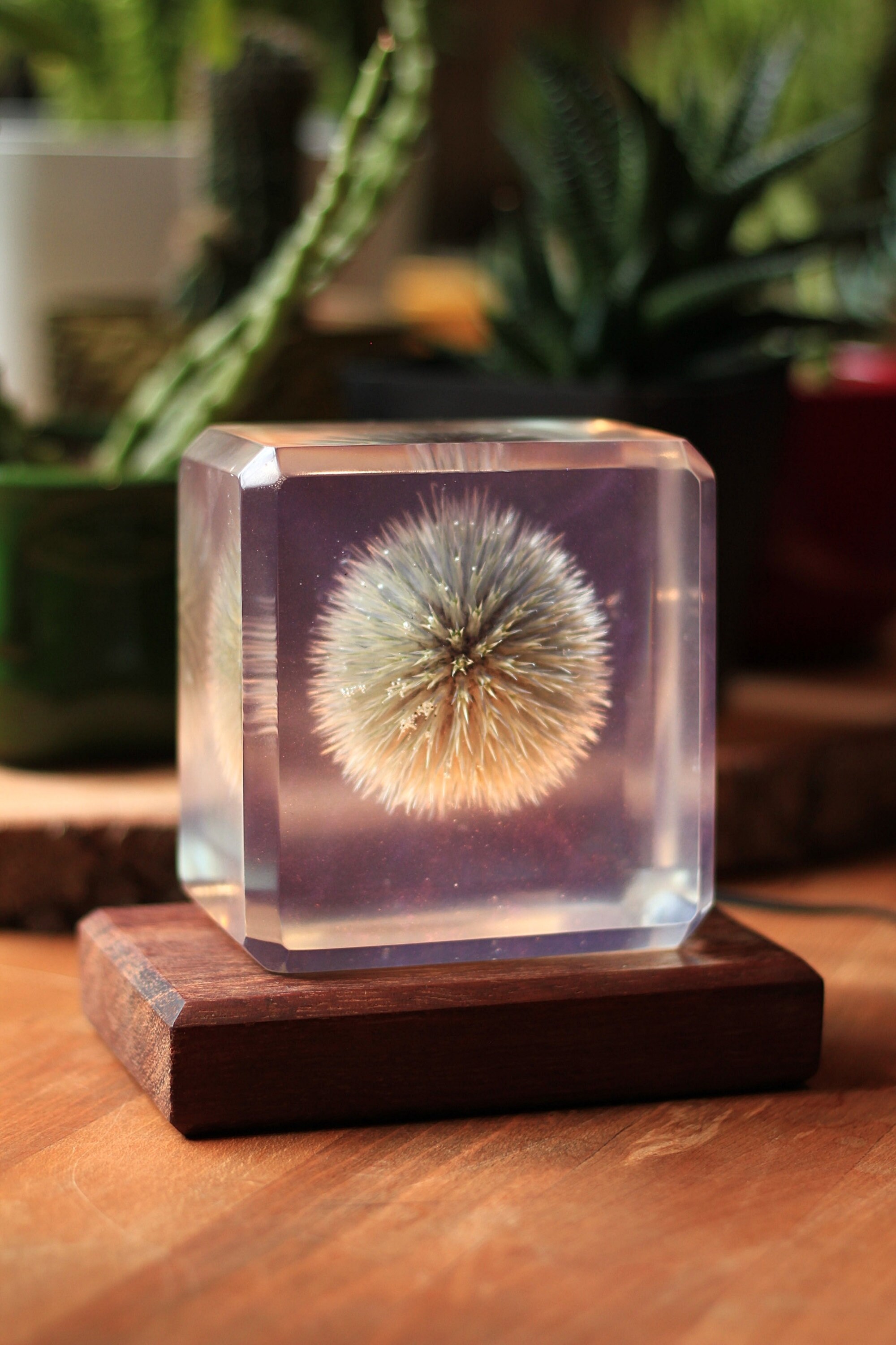 Mystic Lamp, Epoxy Resin, Epoxy Lamp, Botanical Lamp, Epoxy Night Lamp ...