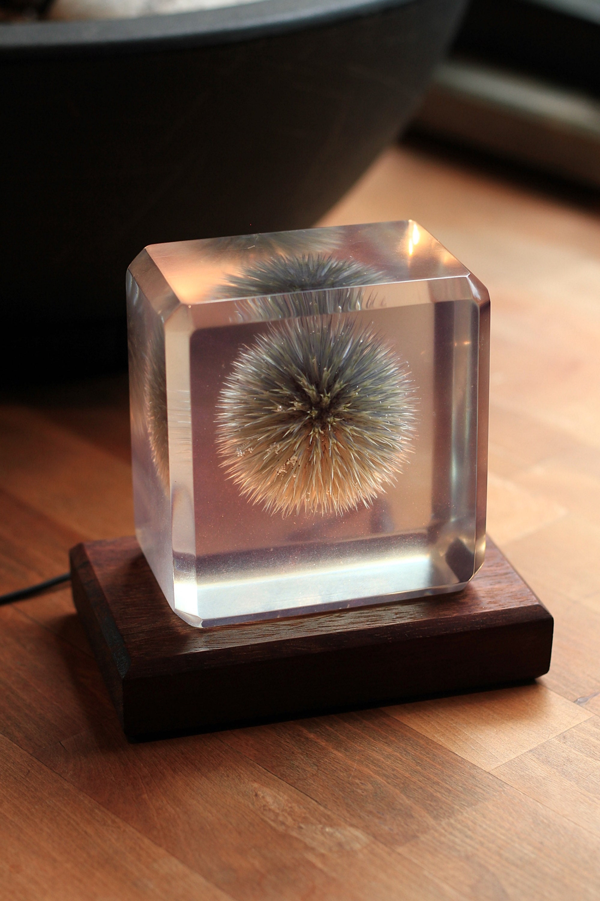 Mystic Lamp, Epoxy Resin, Epoxy Lamp, Botanical Lamp, Epoxy Night Lamp ...