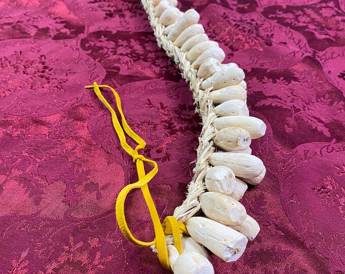 Timpsila Braid - Native American Plant - Etsy