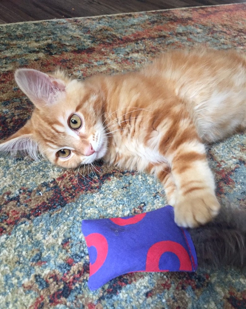 Faux Fur Tail Catnip Toy Random Size Catnip Filled Gift for - Etsy