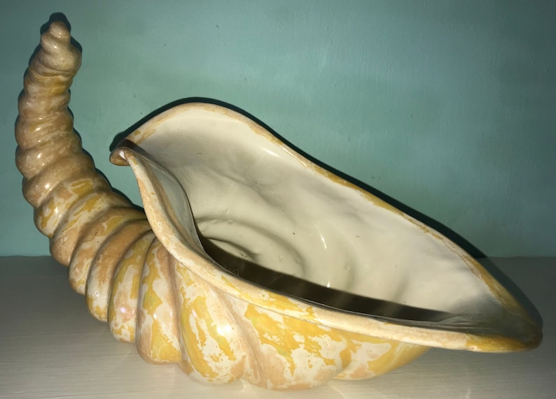 Fruit Bowl Cornucopia Sea Shell Fruit Candy Dish Large - Etsy