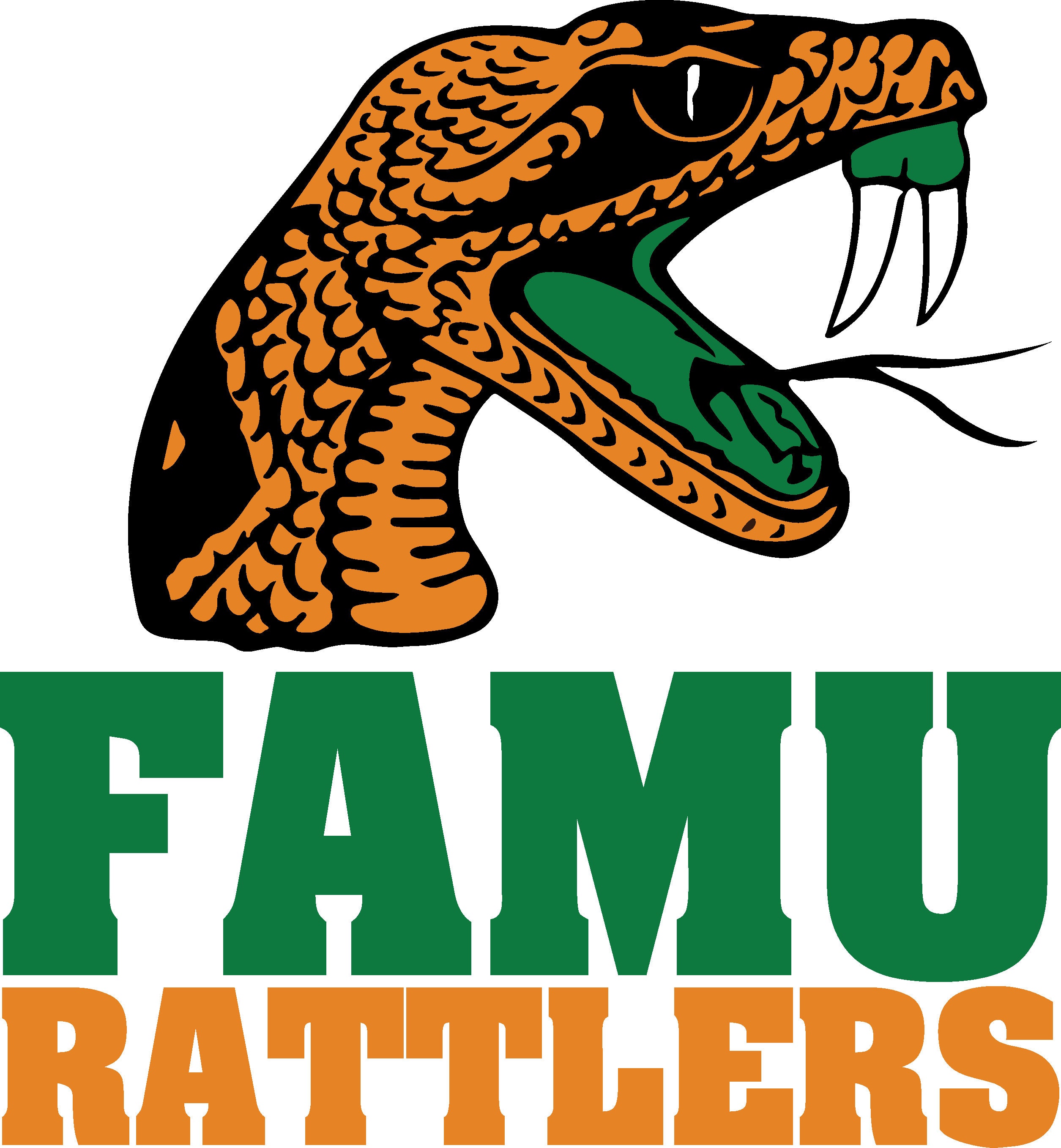FAMU Glitter Rattler Tumbler Customizable | Etsy