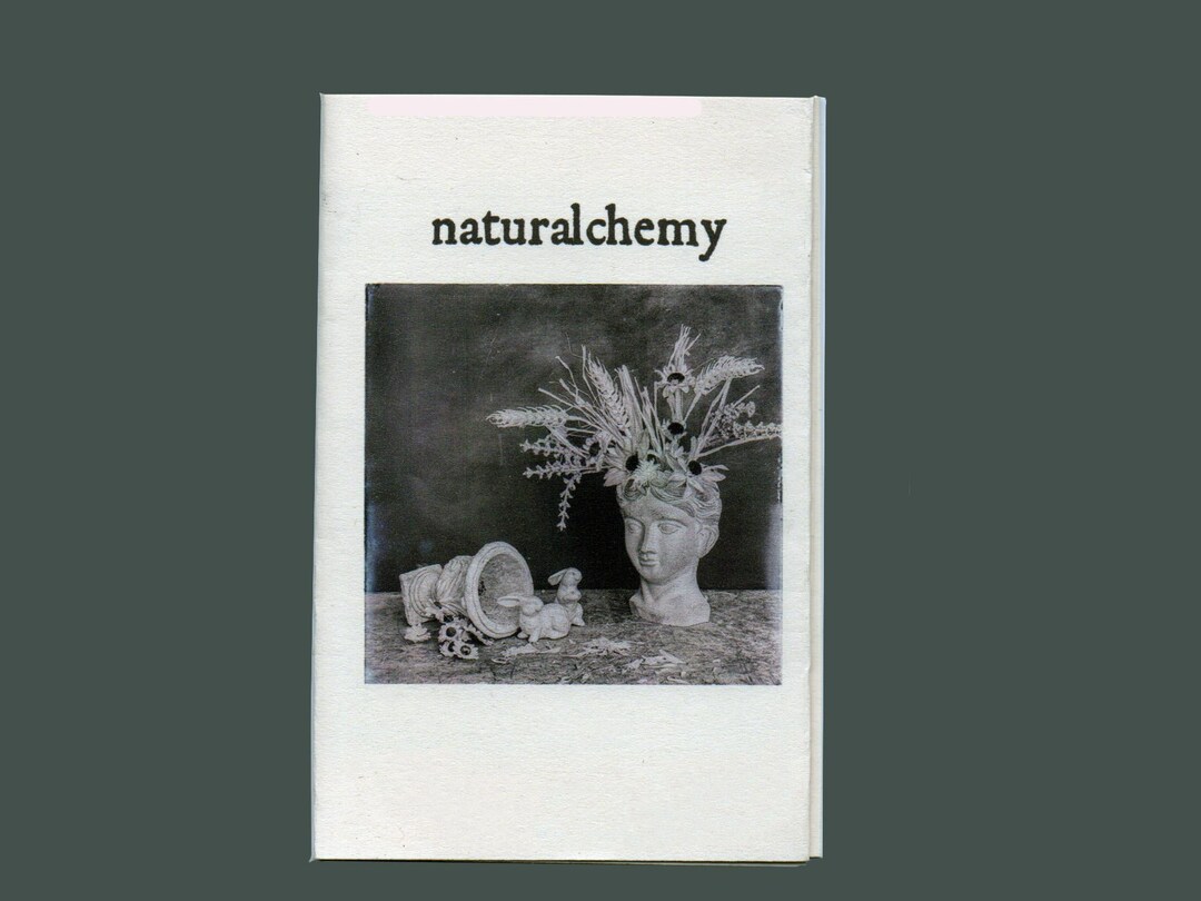 Odd Still Life Photo Zine – Naturalchemy: A Visual Spell of Nature ...