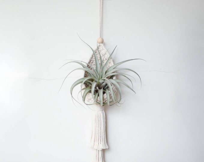 Macrame Air Plant Hanger Handmade Air Plant Display - Etsy