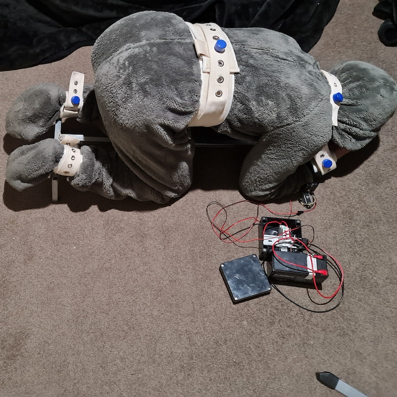 Self Bondage Rigid Steel Stockade Pillory With Electronic Unlocking ...