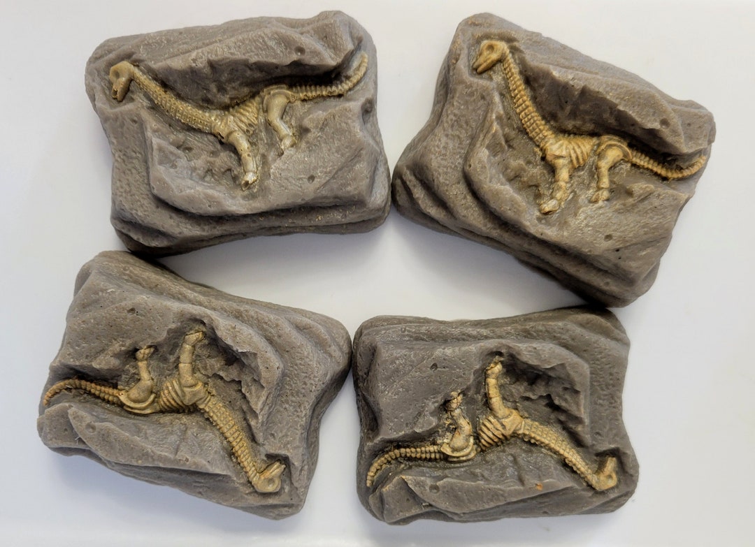 Fossil Soap - Jurassic - Soap - Etsy