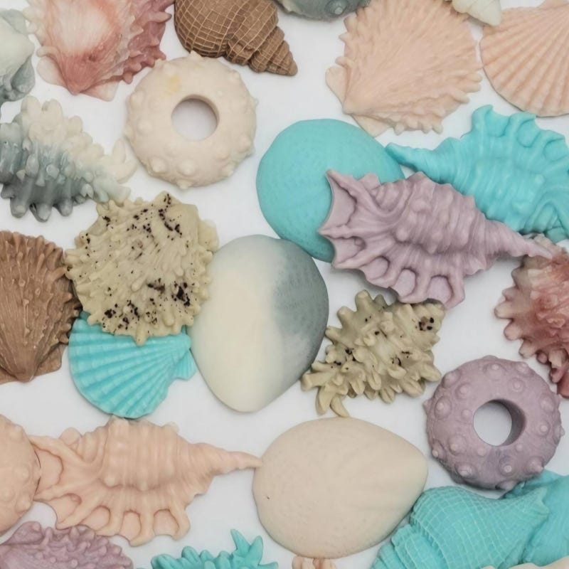 Sea Shell Soap - Etsy
