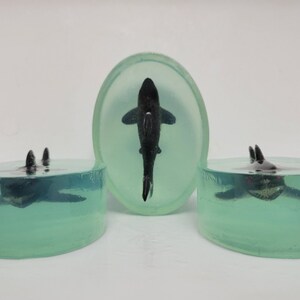 Shark Soap - Great White Shark - Soft Rubber Shark - High Tide - Etsy