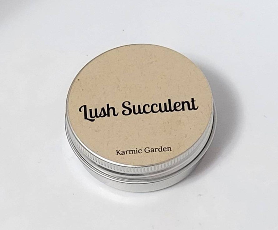 Lush Succulent Solid Fragrance - Etsy