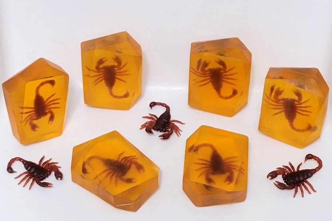 Scorpion Soap Amber Soap Jurassic Critter Bug - Etsy