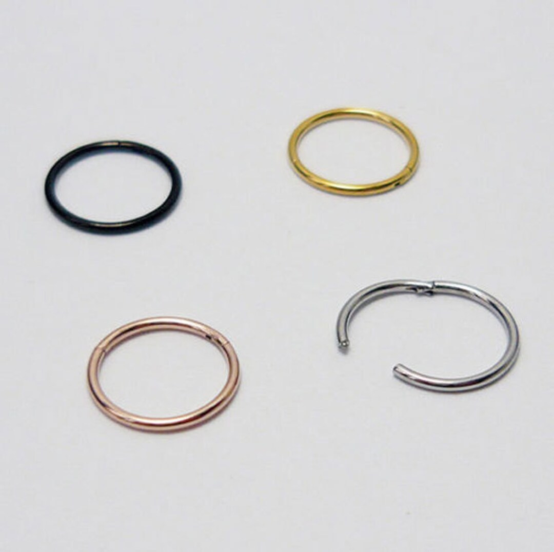 0.8 Mm 20 G Titanium Nose Piercing Segment Ring Septum Nose Ring Breast ...