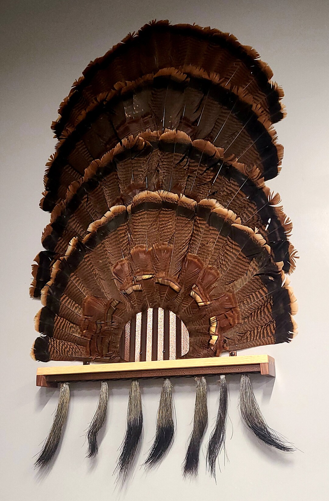 4 Fan Turkey Fan Display With 20 Beard Shelf With 5 Plaque Styles - Etsy