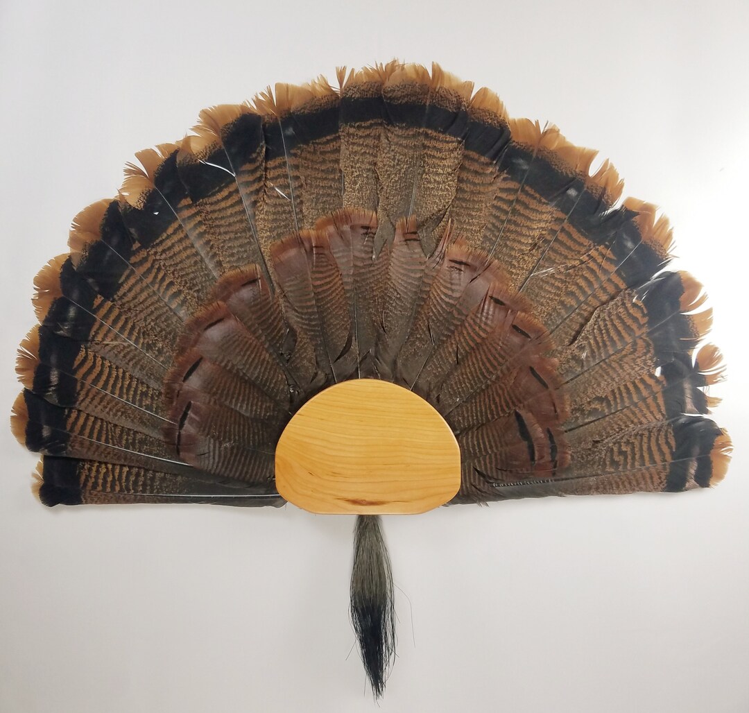 Turkey Fan and Beard Display Mount (cherry) - Etsy