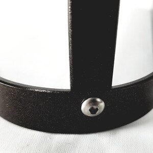 European Skull Mount Table Top Display. Deer Skull Cow Skull, Elk Skull ...