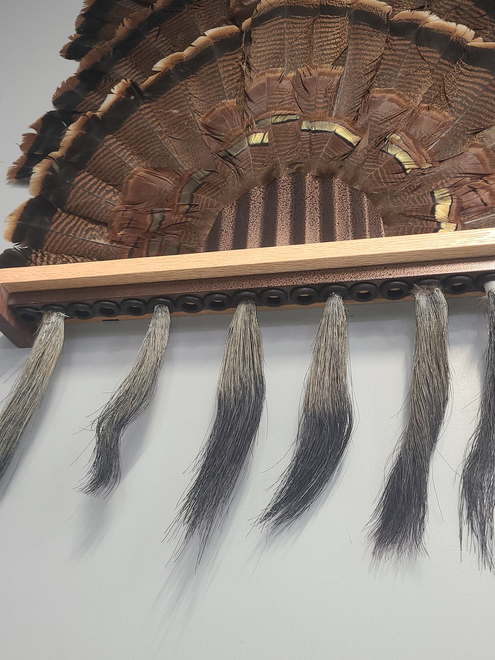 4 Fan Turkey Fan Display With 20 Beard Shelf | Etsy