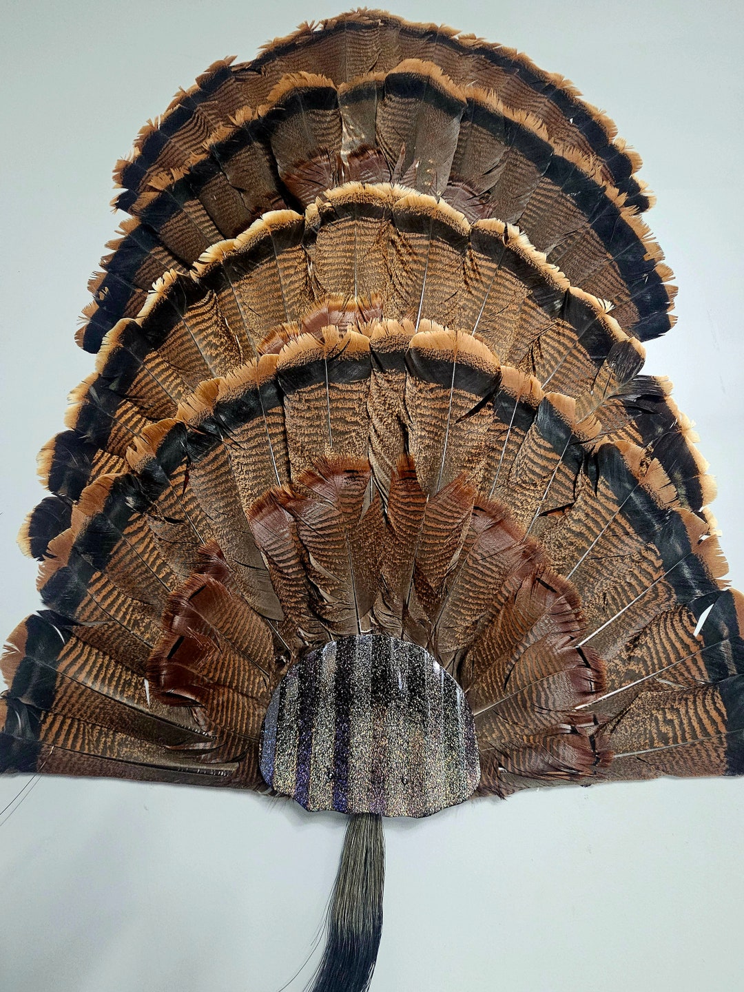 Turkey Fan Mounting Kit 4 Fan Display System With Iridescent Color ...