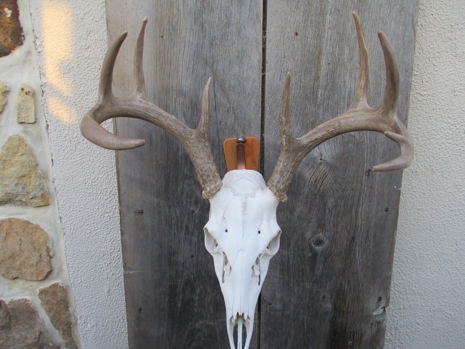 European Skull Mount Swivel Hanger With Cherry Cover Plate - Etsy