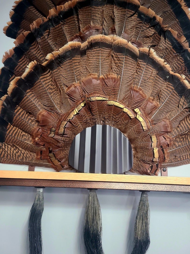 4 Fan Turkey Fan Display With 20 Beard Shelf With 5 Plaque - Etsy