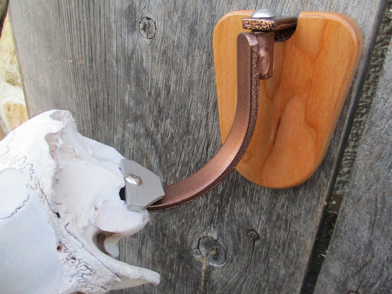European Skull Mount Swivel Hanger With Cherry Cover Plate - Etsy