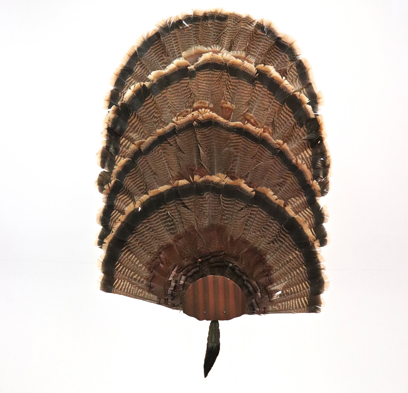 Turkey Fan Mounting Kit 4 Fan Display Copper - Etsy