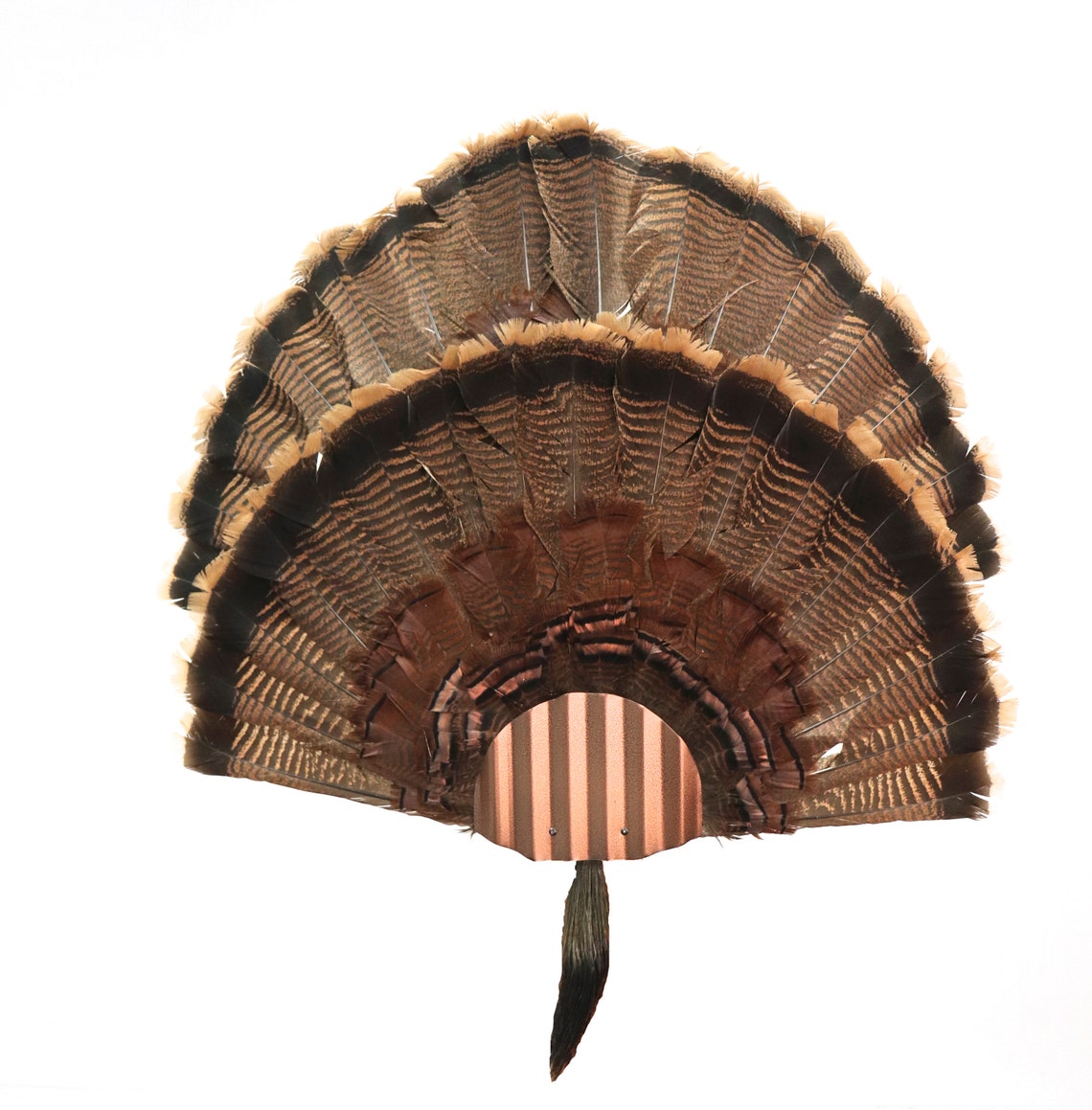 Turkey Fan Mounting Kit 1 to 2 Fan Display copper Vein - Etsy