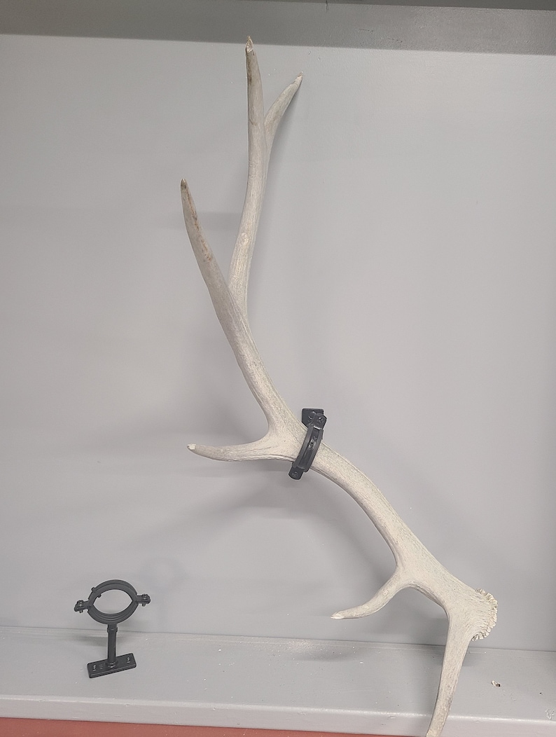 Elk Antler Mounting Clamp, Shed Horn Display - Etsy