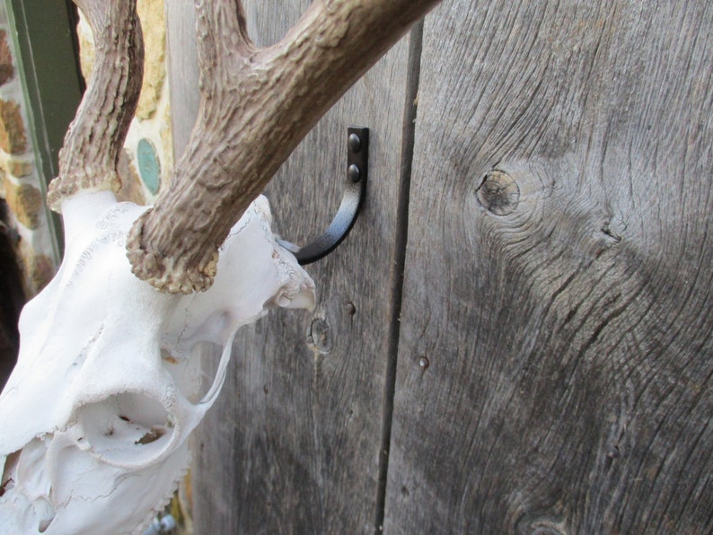 European Skull Mount Hanger With Magnetic Stud Finder - Etsy